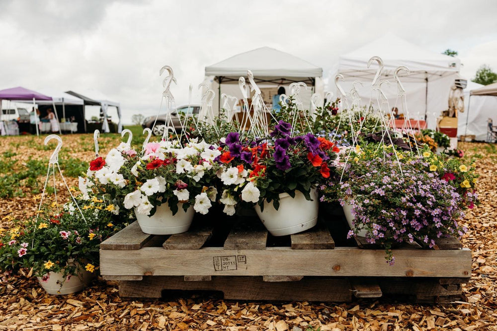 Seasonal Markets – Rooted Farmstead