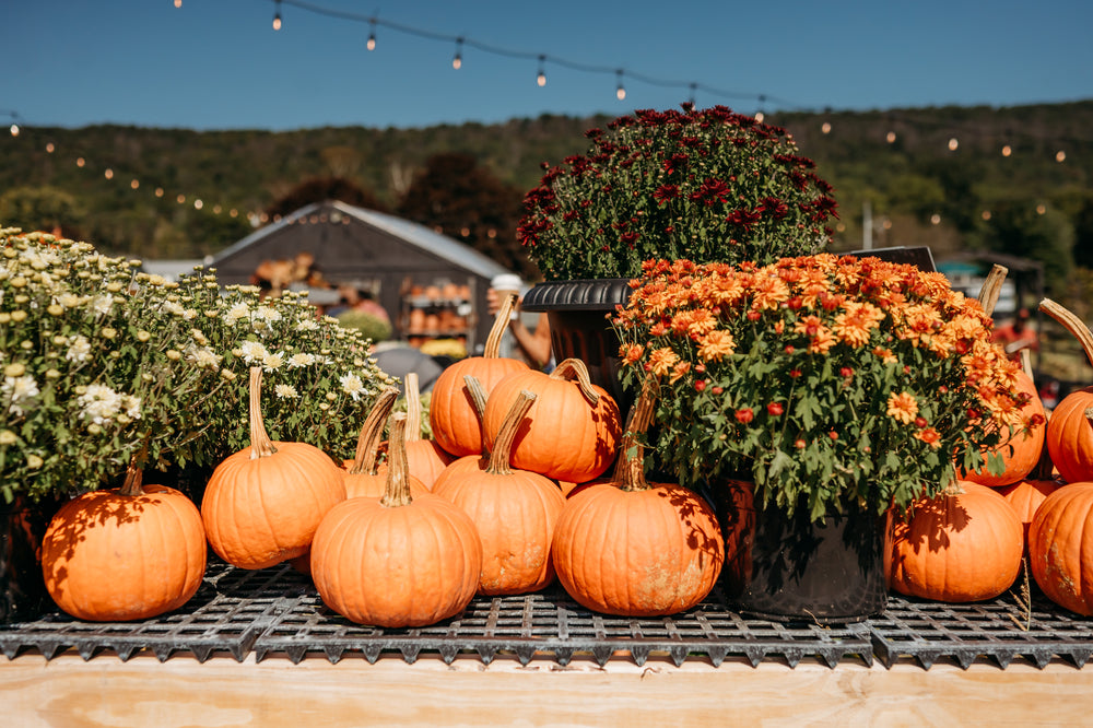 Seasonal Markets – Rooted Farmstead